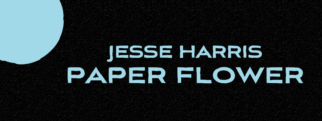 dmxweb.jp ONLINE STORE – dmxwebshop